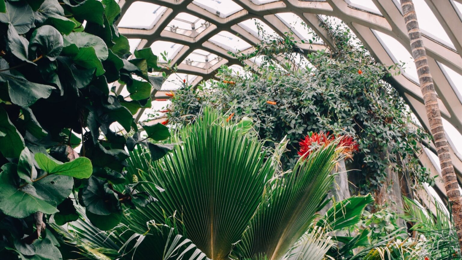 Denver Botanic Gardens in Denver, CO